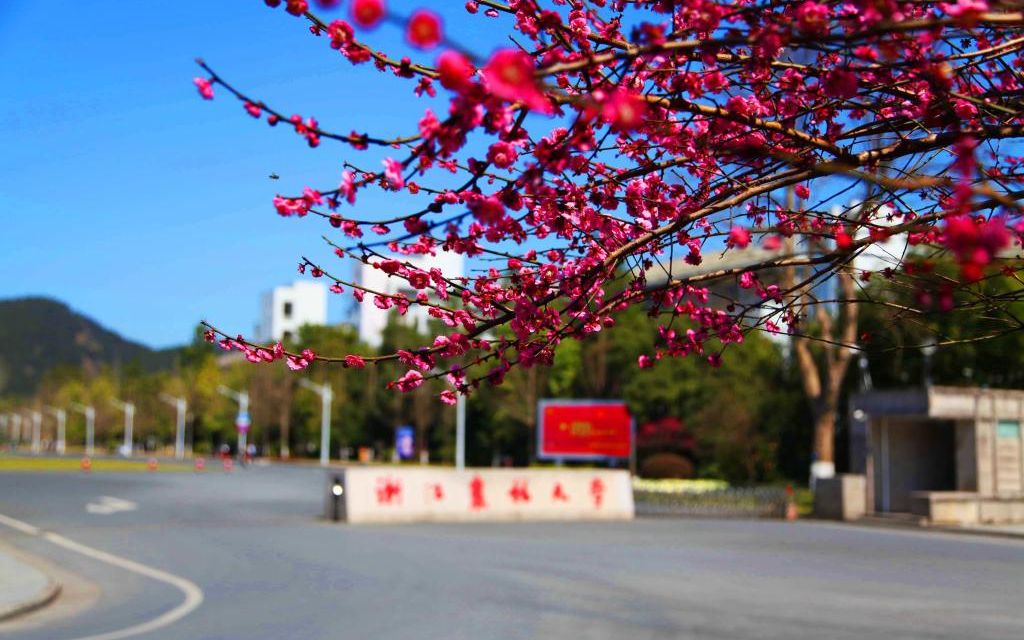 浙江农林大学文化产业管理(茶文化)专业