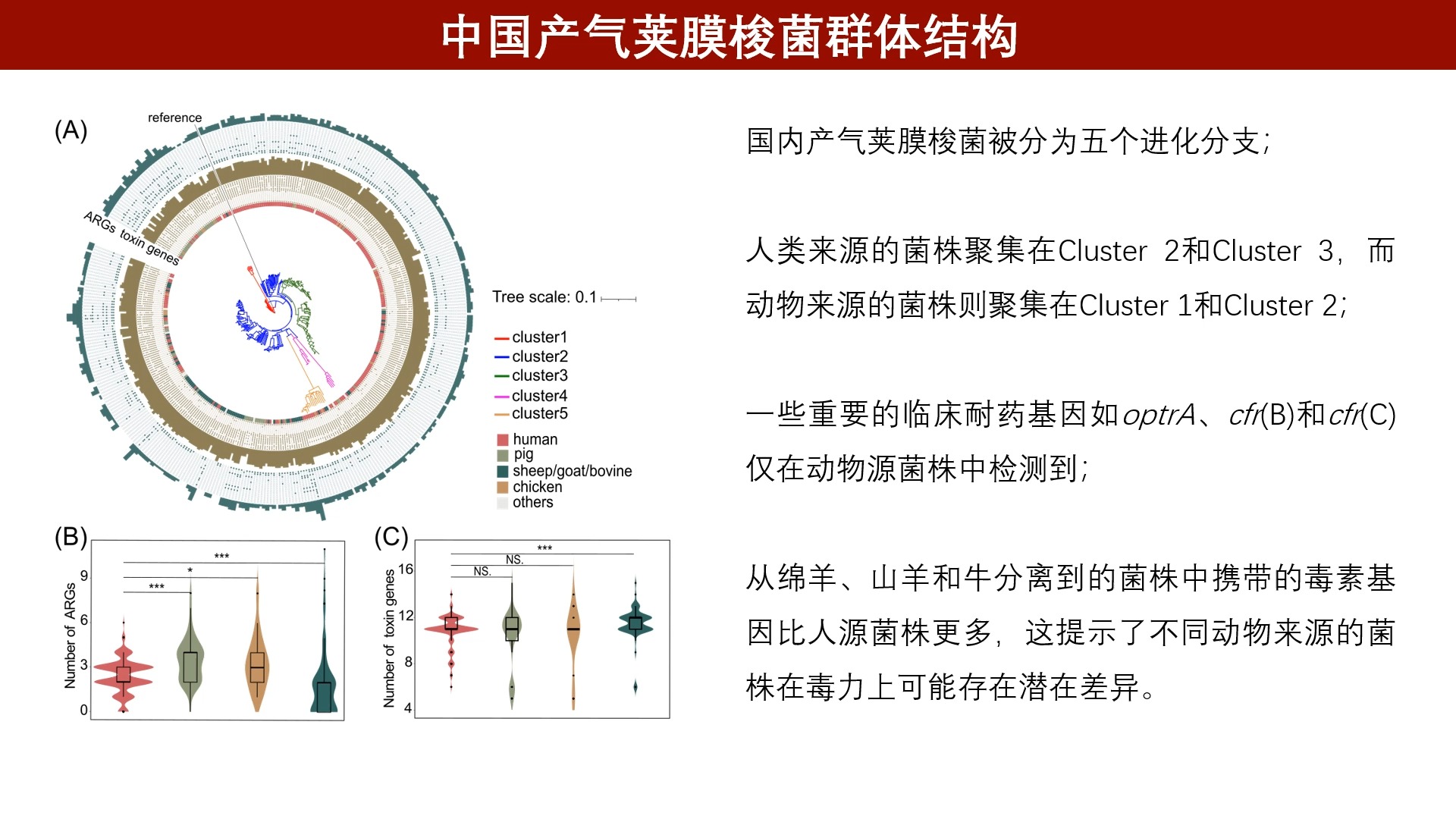 iMetaOmics | 四川大学王红宁组-解析产气荚膜梭菌的基因组宿主适应性