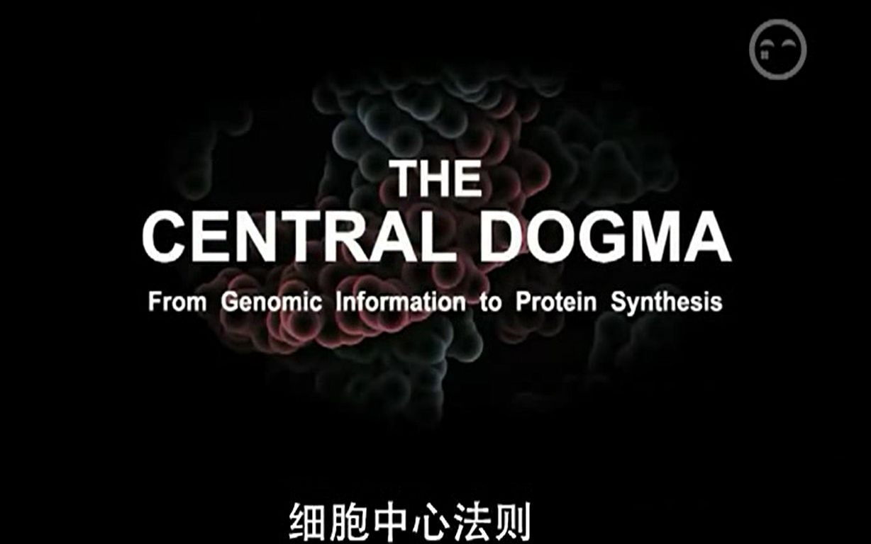 DNA与RNA的转录及翻译(中心法则)