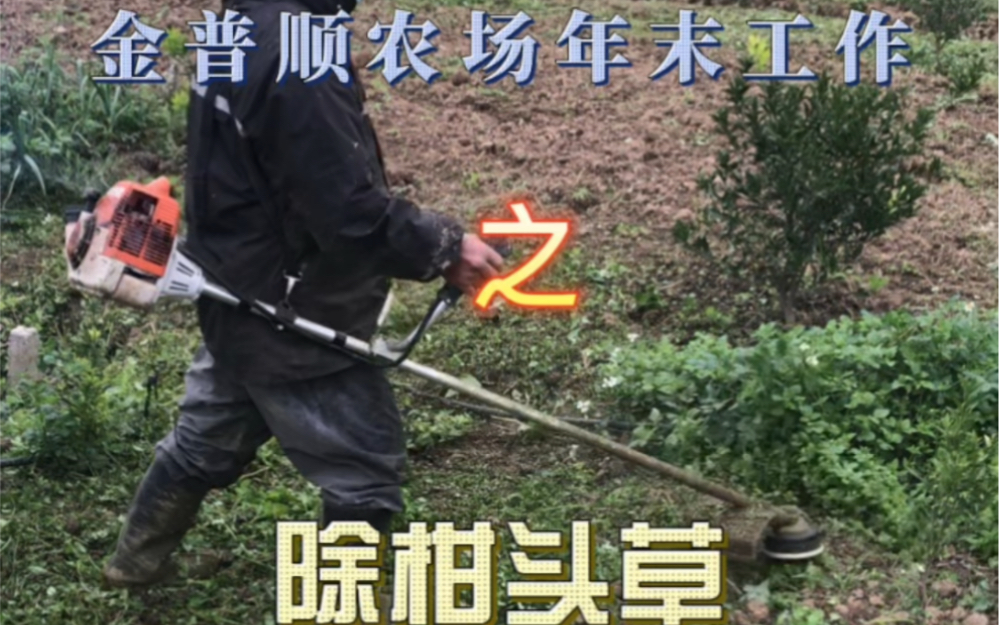 使用打草机除草有什么好处?