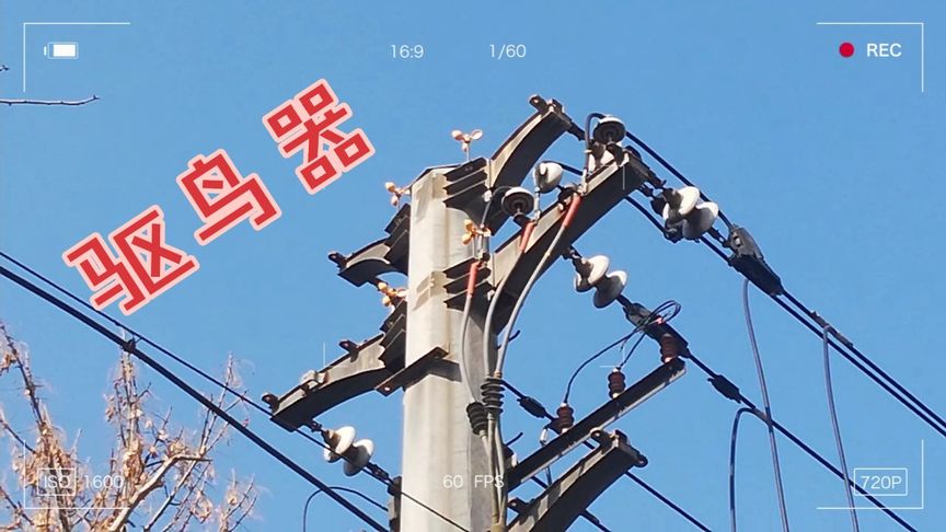 高压电线杆上隐藏着不为人知的小秘密。电力系统安全保镖:驱鸟器
