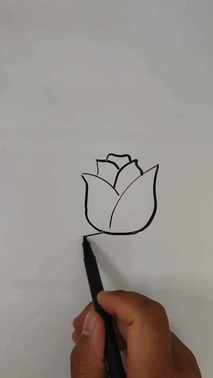 简笔画教程--一支玫瑰花