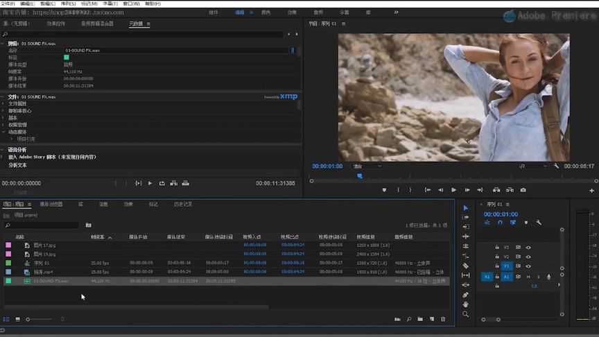 pr编辑技能初级篇:项目文件查找搜索隐藏,你学会了吗?