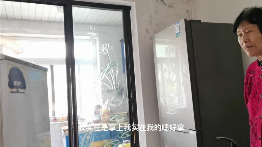 收阿姨一台冰箱,拿回去一看,全部都是铜管的,又捡漏了