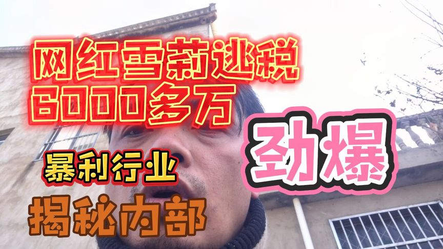 揭秘网红雪梨收入来源!逃税6000多万!声称暂停直播!