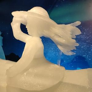 苦茶淡淡香的Vlog啊 