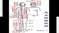 十二经络走向及穴位读音