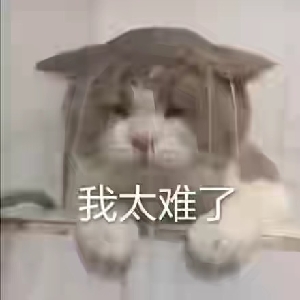 不重要的戳戳 