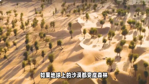 如果地球上的沙漠都变成森林,会产生什么后果?说出来你都不敢信