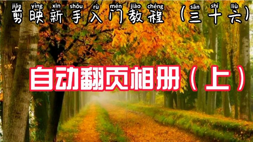 剪映新手入门教程 自动翻页相册制作(上)简单好学
