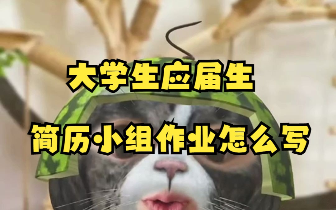 大学生应届生简历小组作业怎么写才像项目经历?