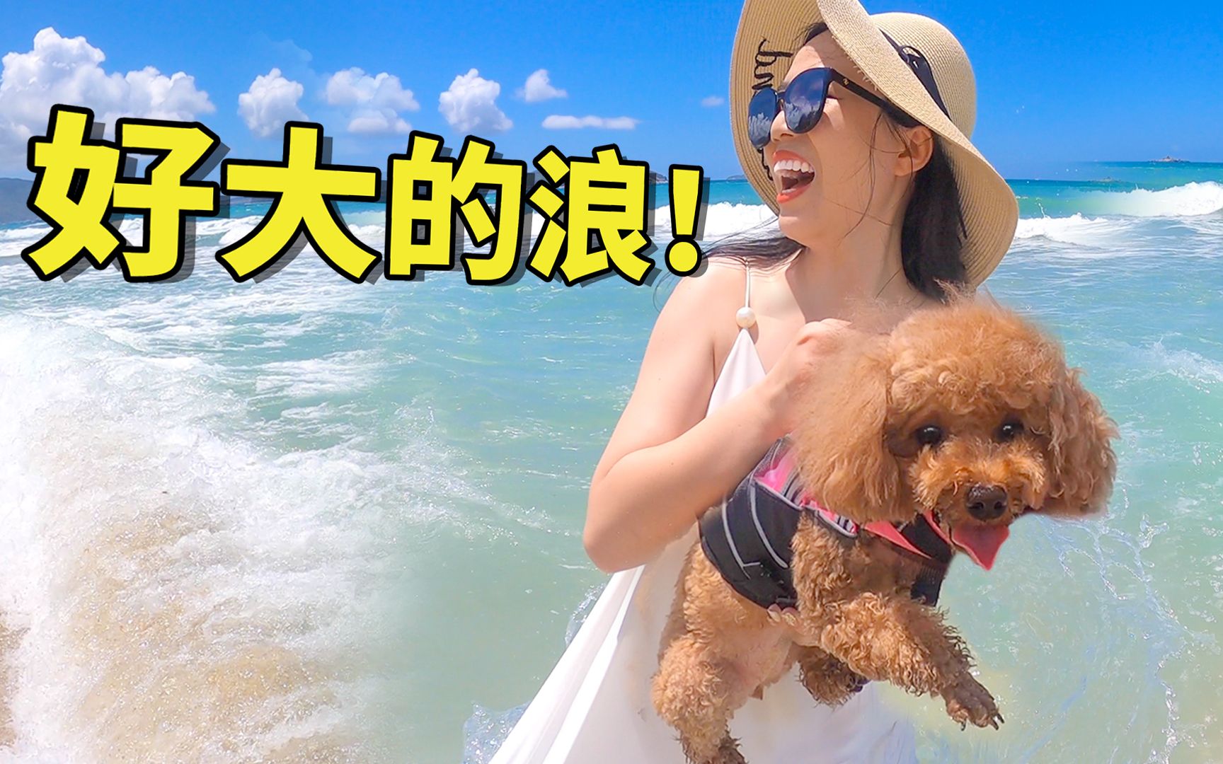 带狗去旅行|狗狗穿救生衣下海差点被浪冲走,幸好女主人抓得快!