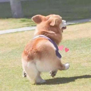 时光上的生活 