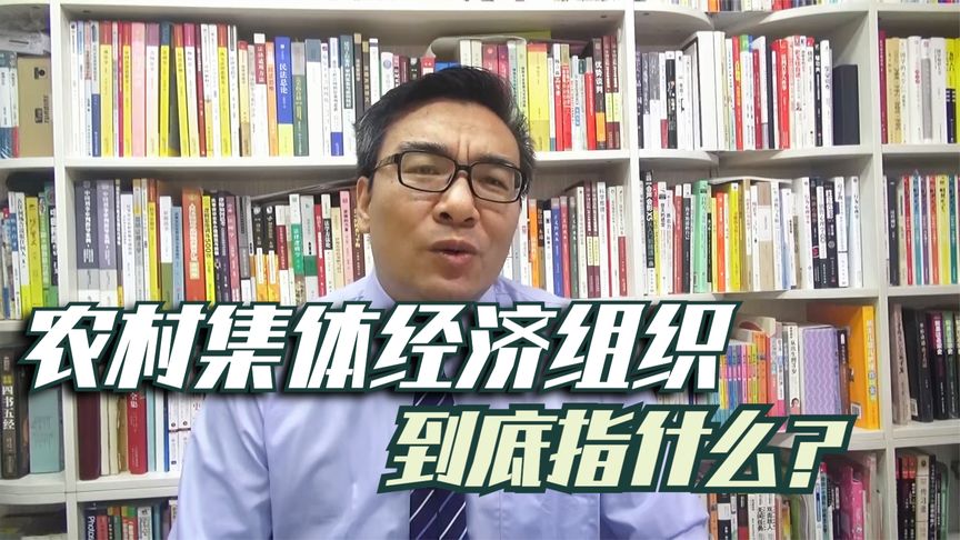 农村集体经济组织到底指什么