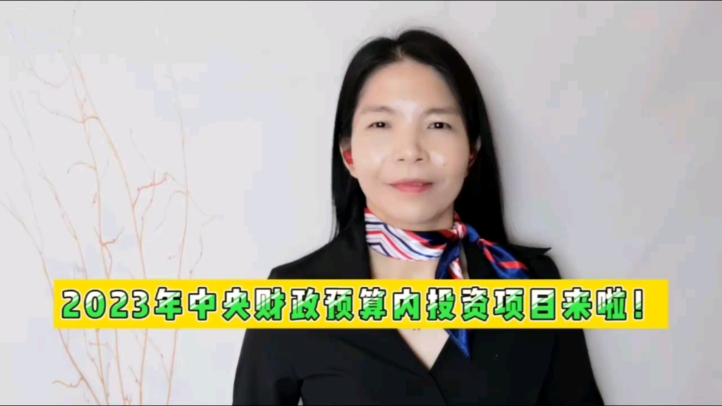 2023年中央财政预算内投资项目