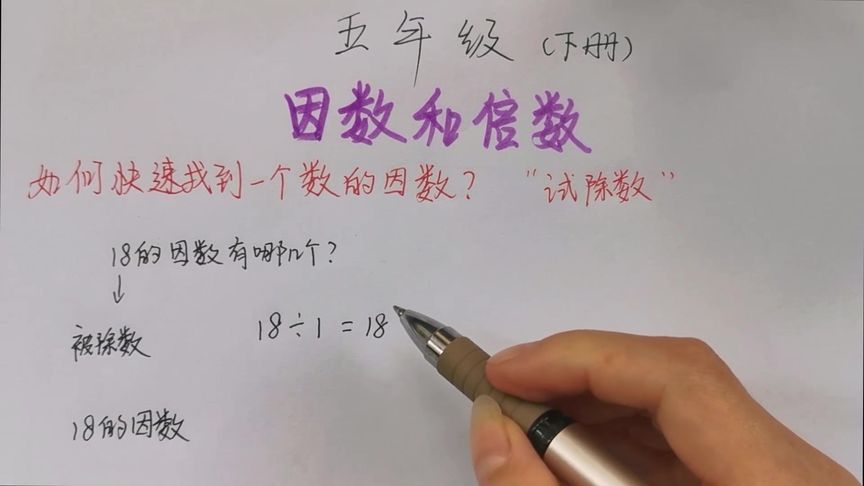 五年级数学,期末考点,如何快速找到一个数的因数?