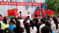 沈丘县职业教育活动周启动仪式