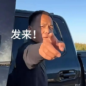 齐冬雷 