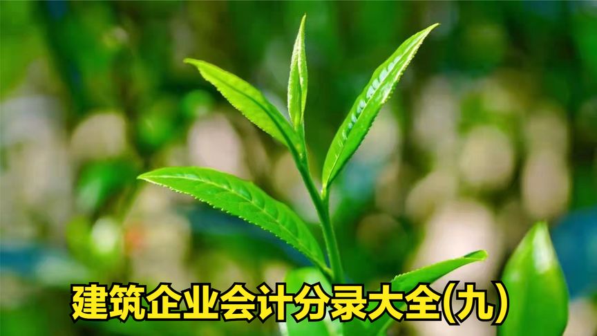 建筑企业会计分录大全(九)