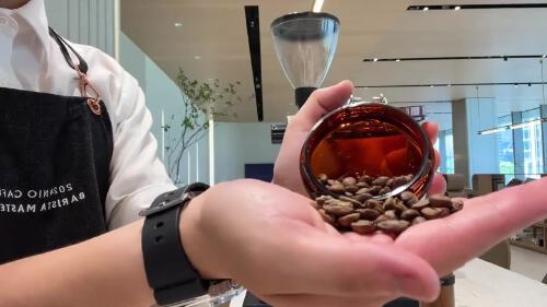 手冲咖啡全教程:从豆子到杯子,轻松在家复刻咖啡馆风味