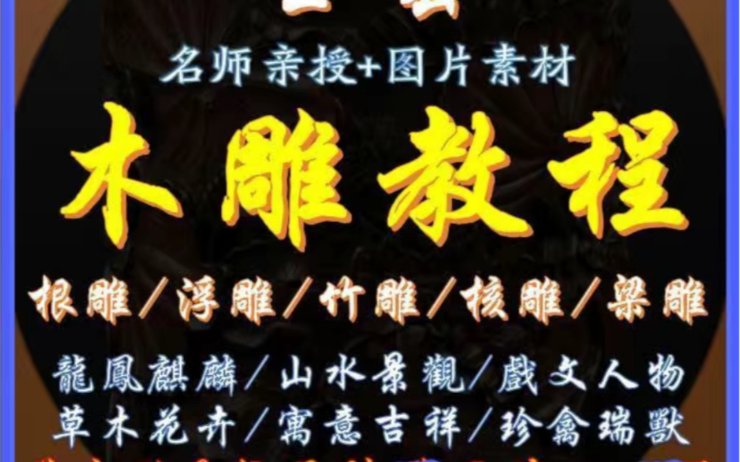 木雕自学雕刻入门教程学习 基础视频教学木雕教程 木材木工雕刻艺术...
