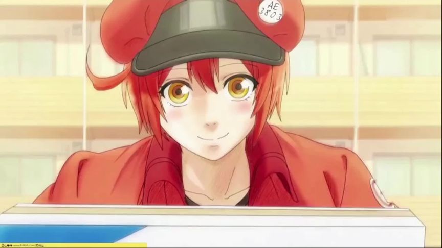 《工作细胞》细胞介绍合集✨#工作细胞 #动漫 #漫剪