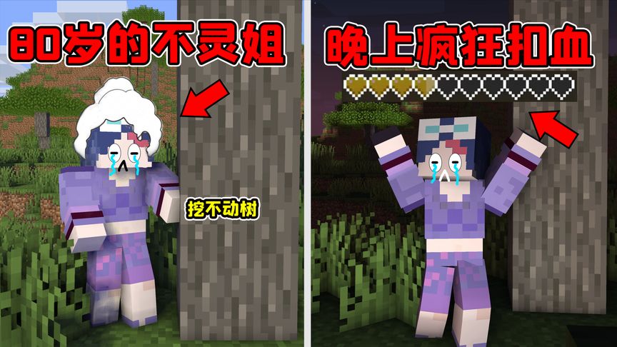 我的世界极限生存:白天挖不了木头,晚上还会扣血,该如何生存?