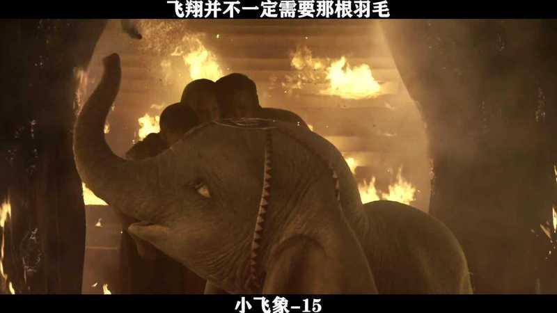 小飞象 15小飞象要飞翔,并不一定需要那根羽毛
