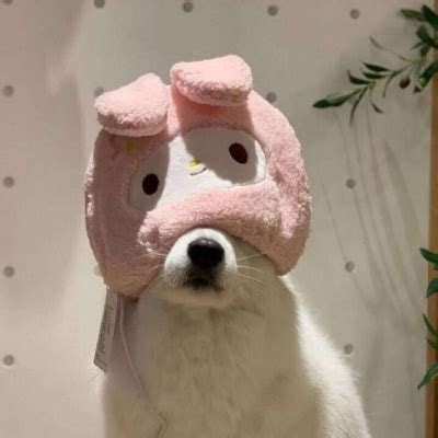 听说娱乐 