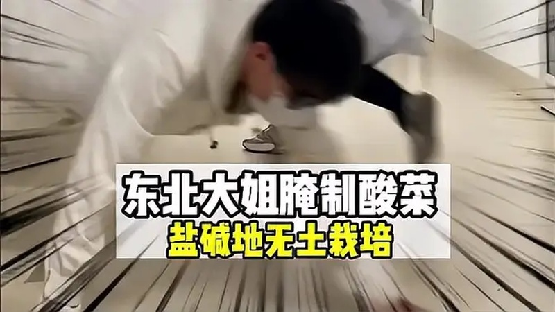 博士研究生努力几十年不如东北大姐的一缸酸菜
