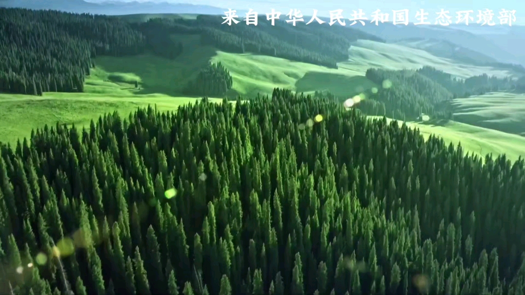 大学生校园公益宣传片,让我们共绘人与自然和谐共生的美丽画卷#绿水...