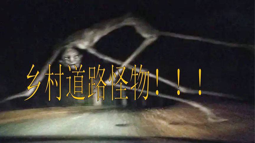 【GMOD】假如独自一人遇到乡村道路生物,你会怎么应对?