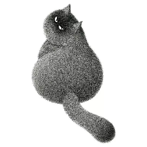 Chopuffin 