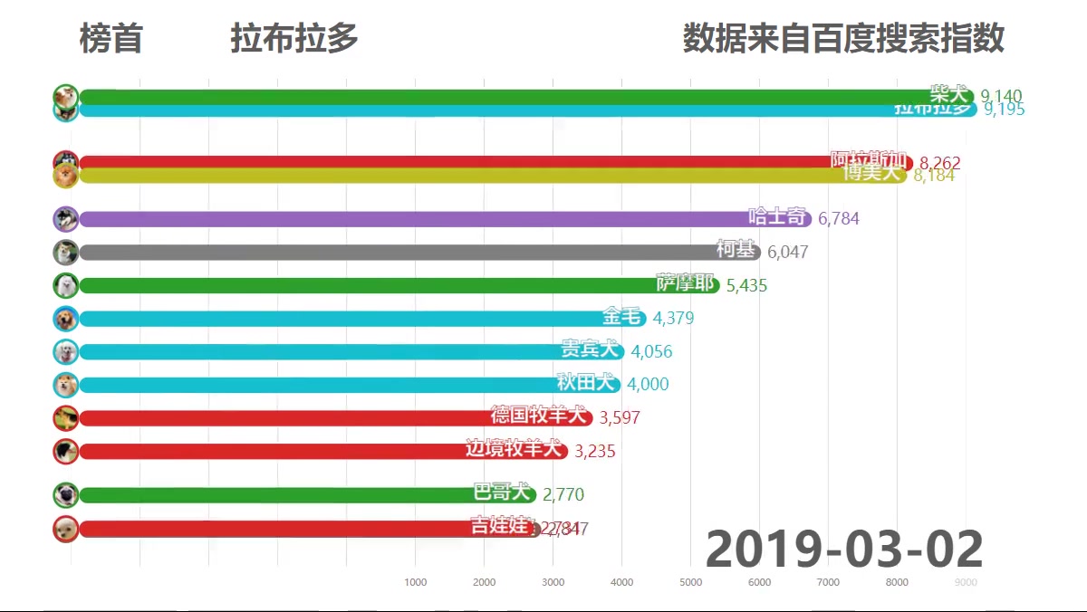 最热门的狗狗是?2019年上半年狗狗热度排行榜