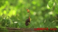 Excel函数/Excel数据透视表/Excel表格/Excel公式:Excel数据有效性设置...