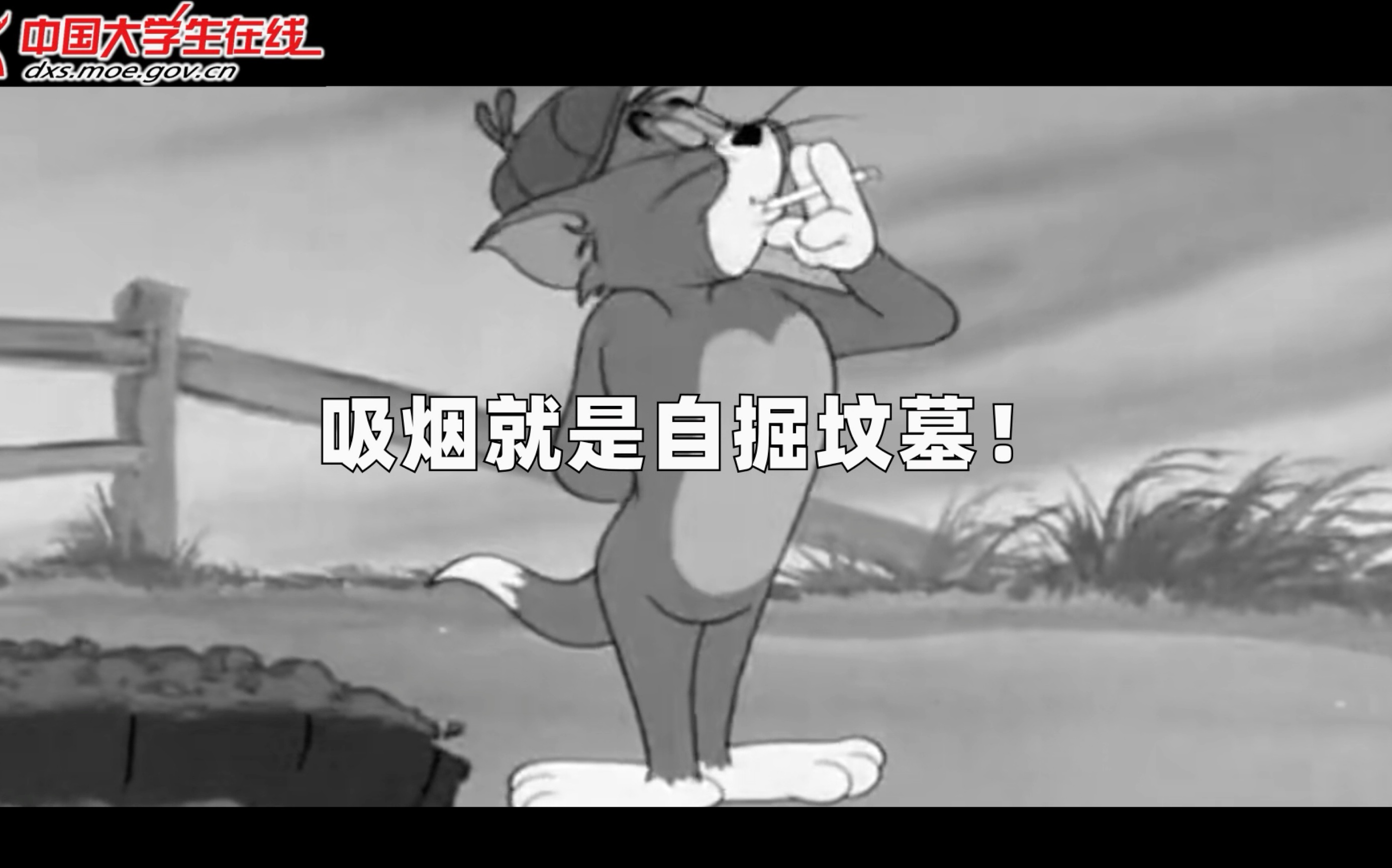 世界无烟日,承诺戒烟,共享无烟环境