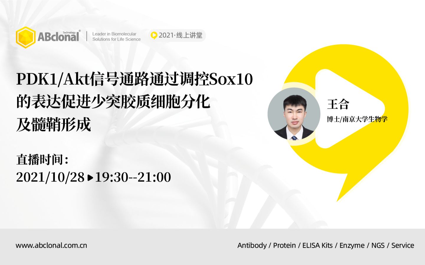 南京大学王合博士:PDK1/Akt信号通路通过调控Sox10的表达促进少突...