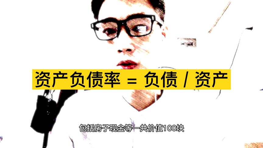 投资理财基础 财务报表分析(财务杠杆比率)(三)