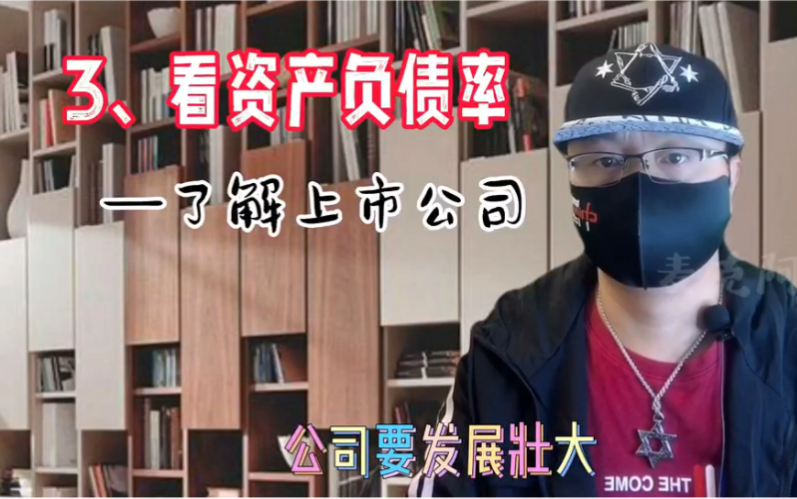 3、看资产负债表——了解上市公司