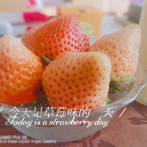 料理鼠王shuwang 