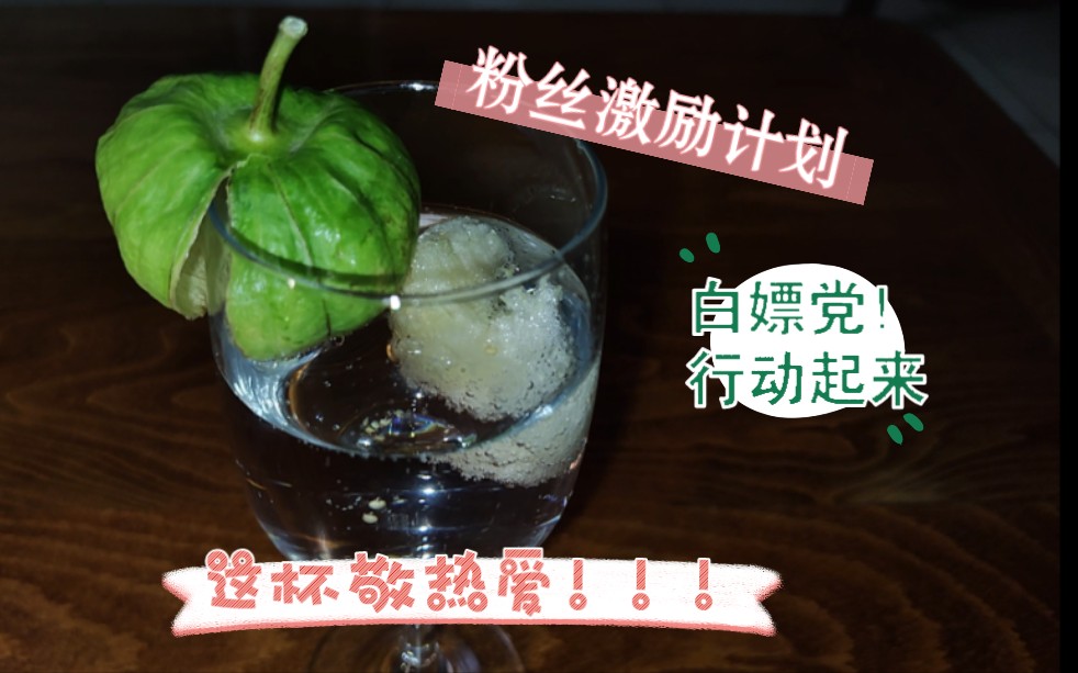 2023第四季度公益活动“粉丝激励计划”开启,种子:快来领我回家吧～