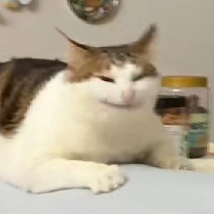 MK眼花老头 