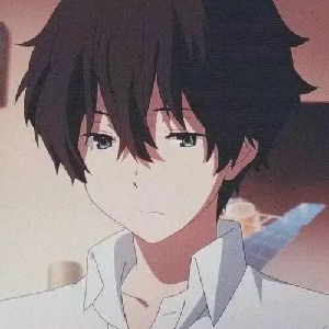 玖寄凡 