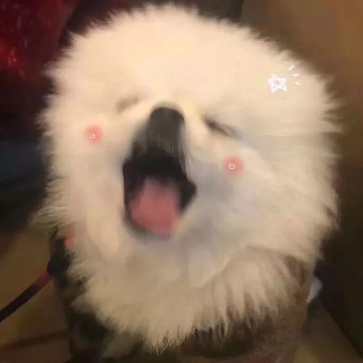 slingxdfvg 