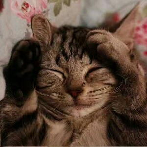臨時生活 