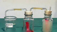 我在氯气与水的反应——氯水漂白性验证(视频)截了一段小视频
