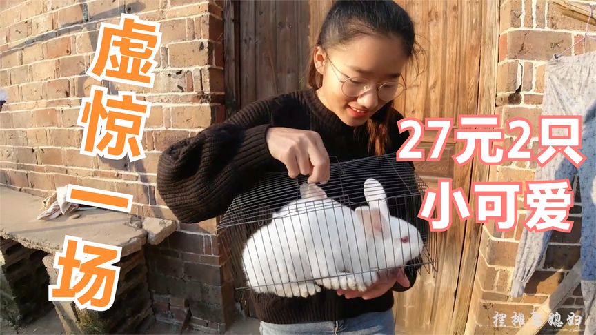 小白兔到家第2天就被小狗追着咬,还好命大,就出了一点点血