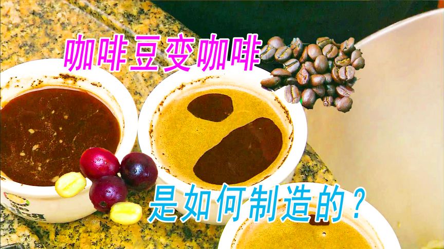 咖啡是怎么制作的?从一粒种子长出咖啡豆,再磨成咖啡