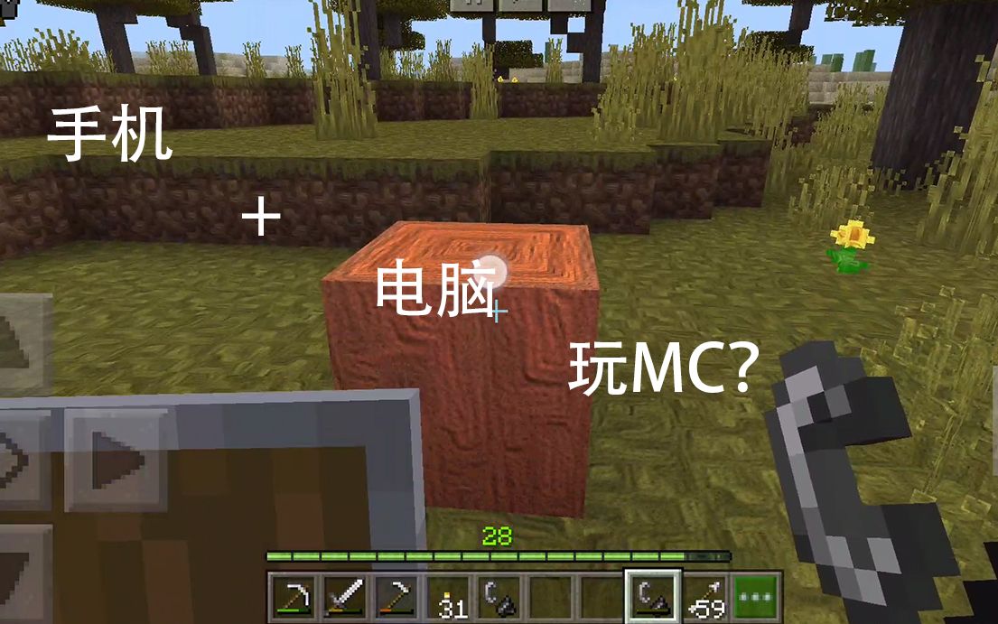 如何在电脑屏幕上玩MC?