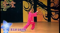 太极拳教学视频 42式太极拳背向演练 太极拳动作要领